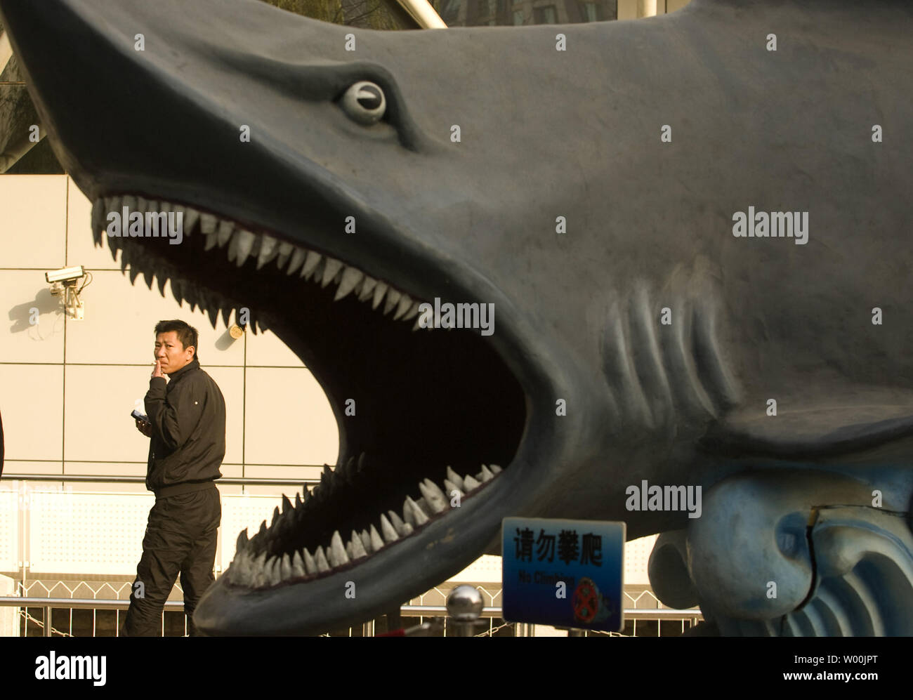 Marine predators hi-res stock photography and images - Alamy