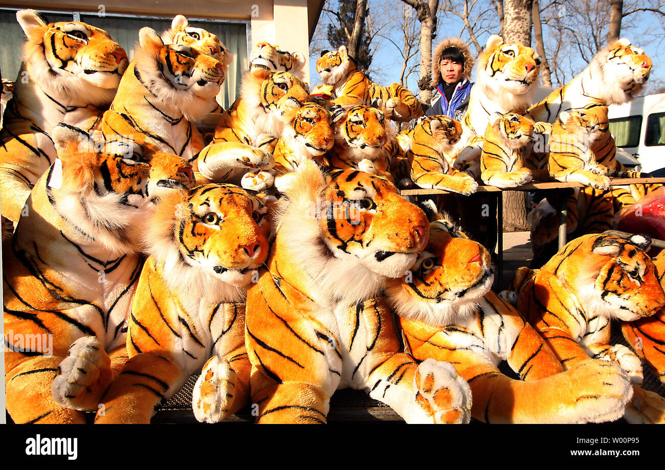 Chinese new year family provinces hi-res stock photography and images ...