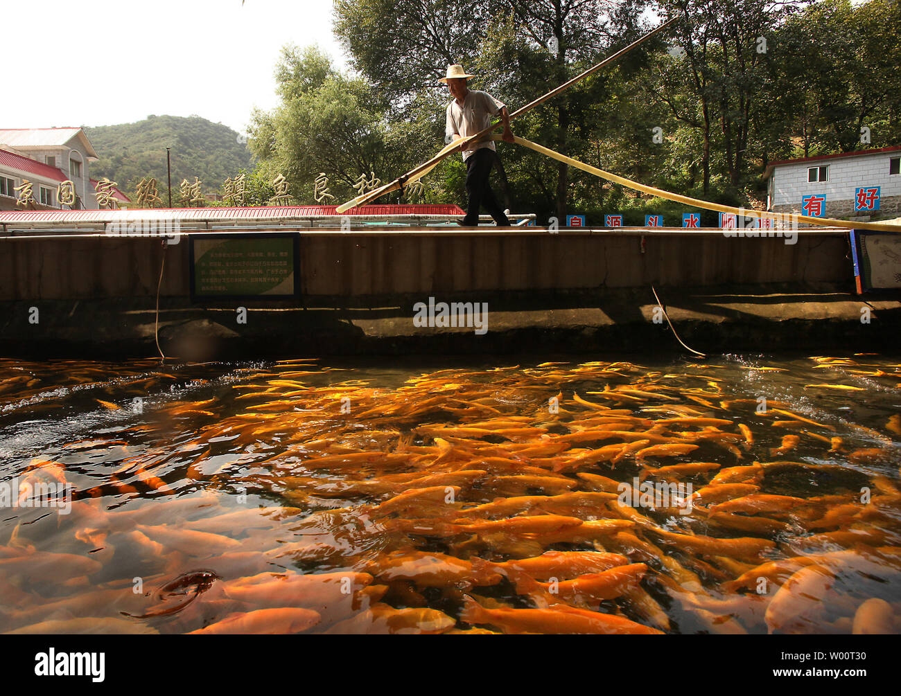 2005 in beijing hi-res stock photography and images - Alamy