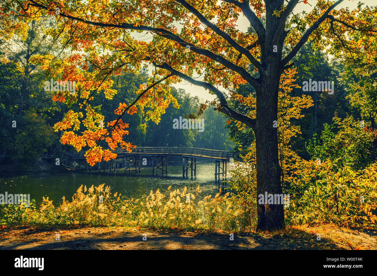 Beautiful fall landscape with lake, bridge and tree Stock Photo - Alamy