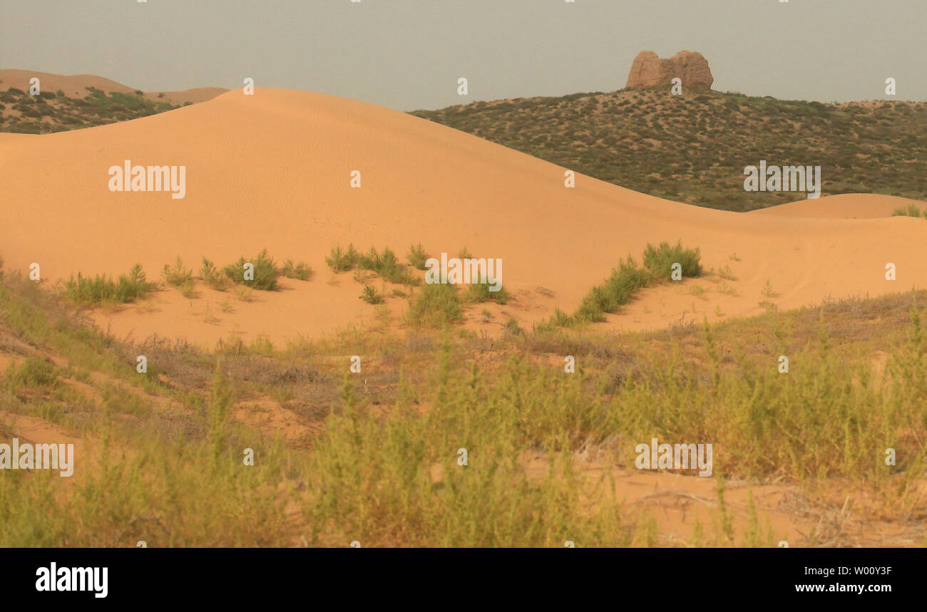Northwestern Deserts