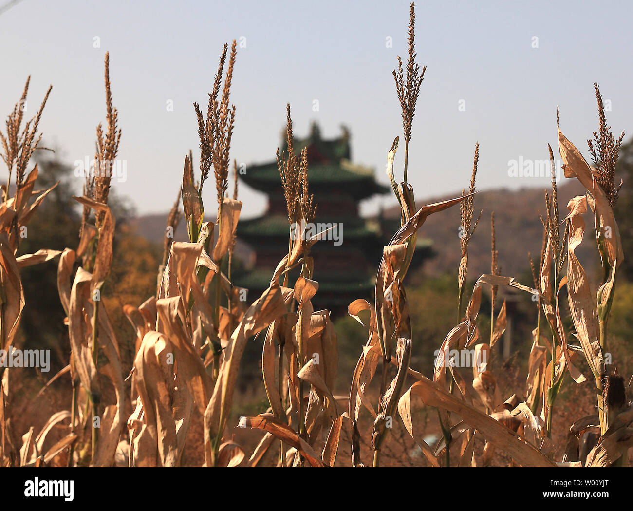 Chinas largest temple hi-res stock photography and images - Alamy