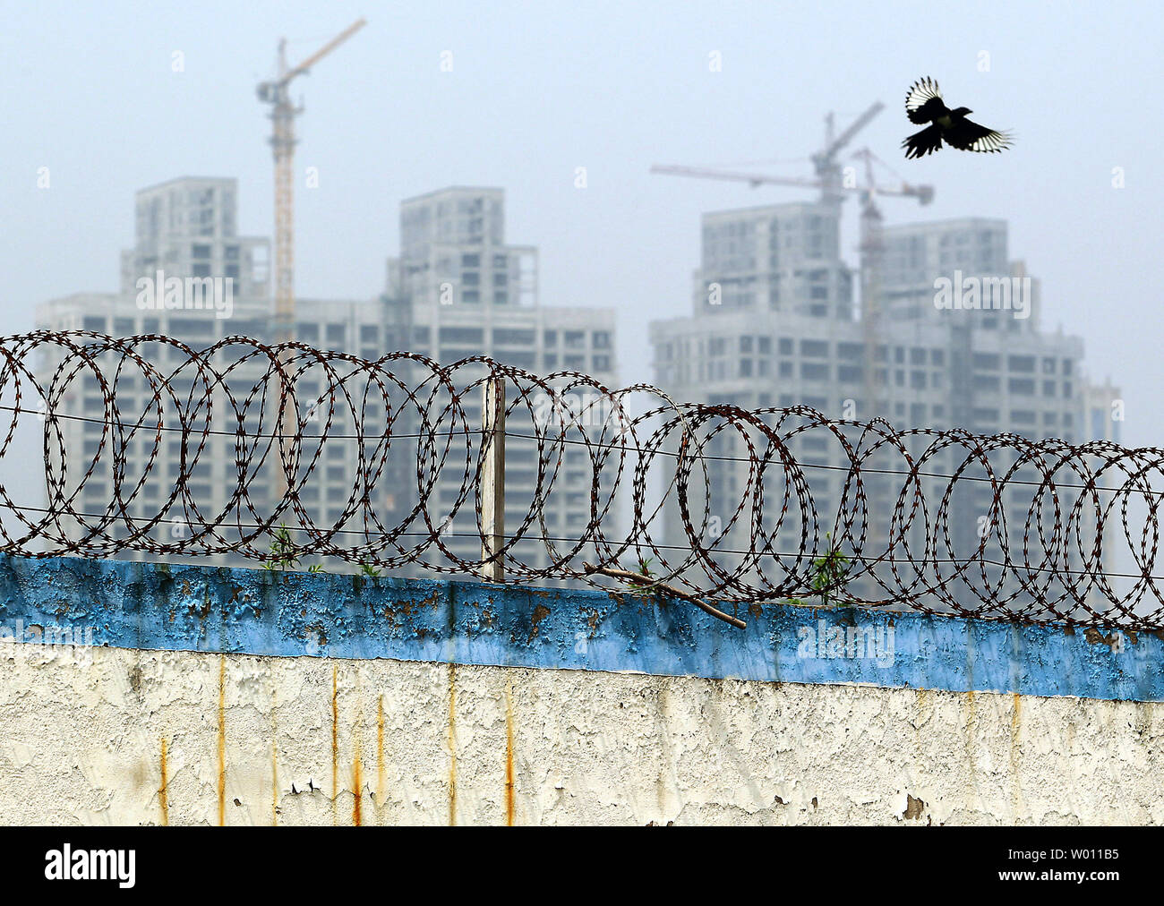 Pilfering hi-res stock photography and images - Alamy