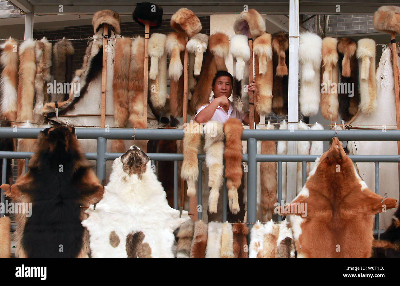 Fur trader hi-res stock photography and images - Alamy