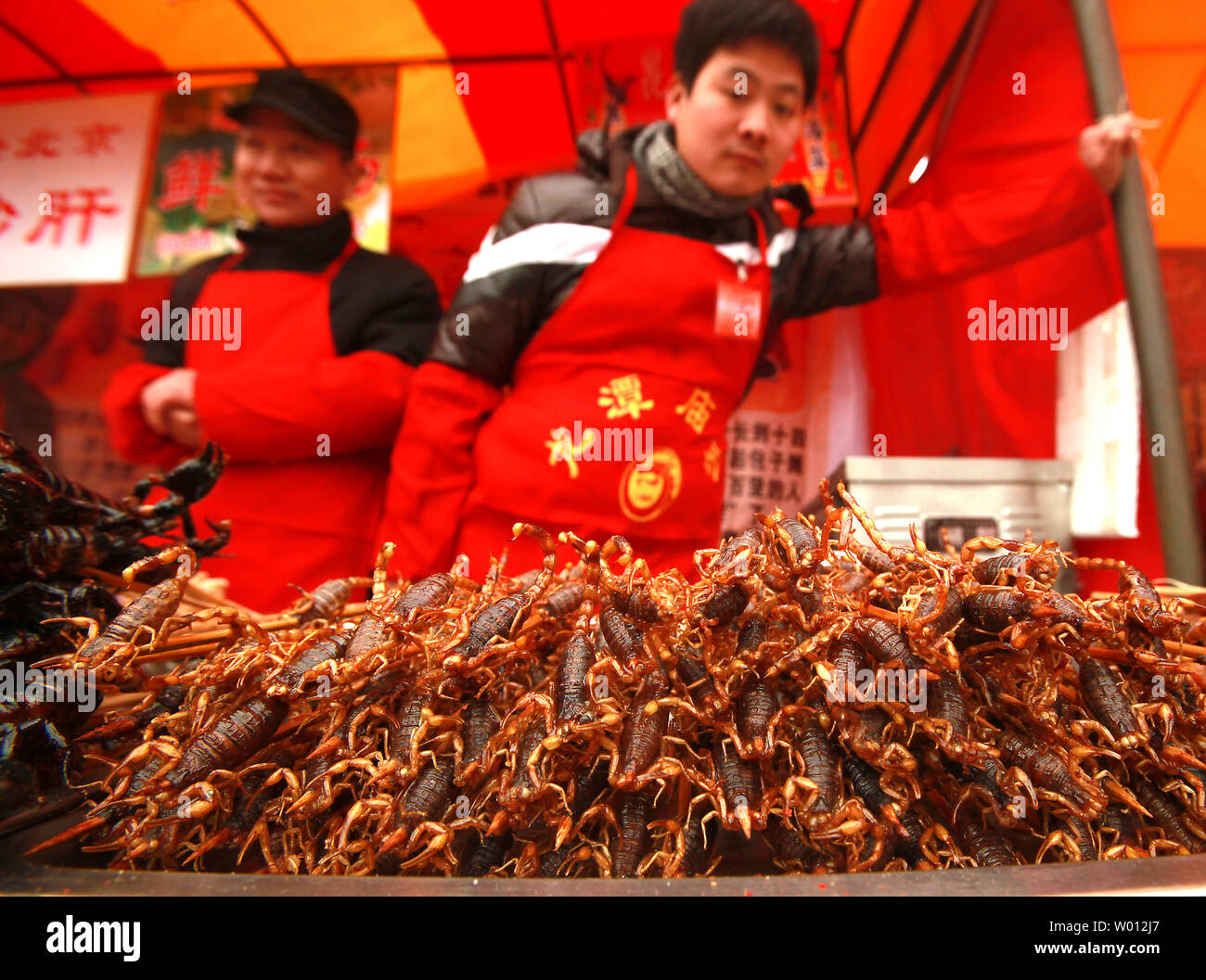 Fried scorpions chinese food hi-res stock photography and images - Alamy