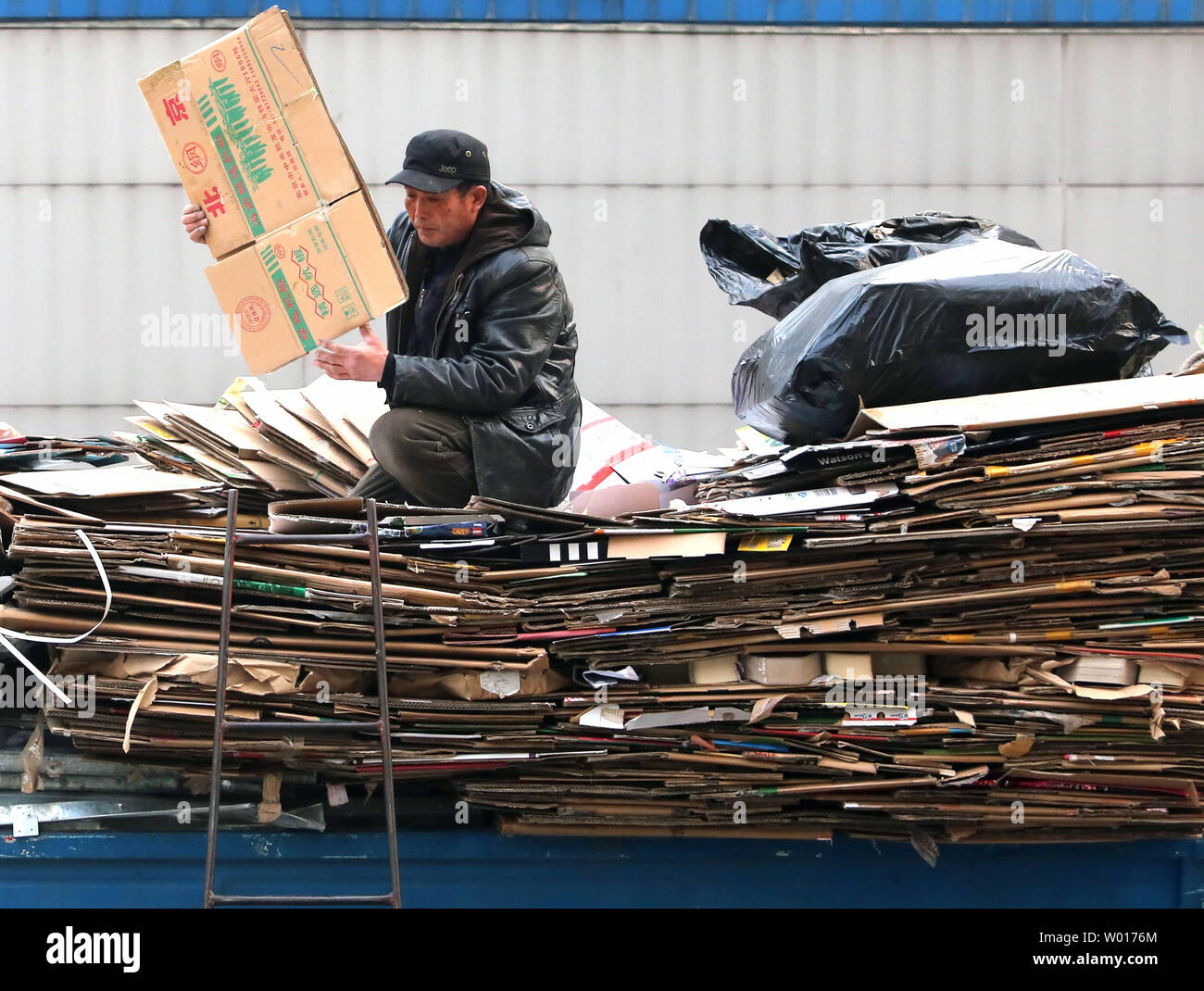 A Chinese trash collector stacks cardboard boxes on the back of his ...