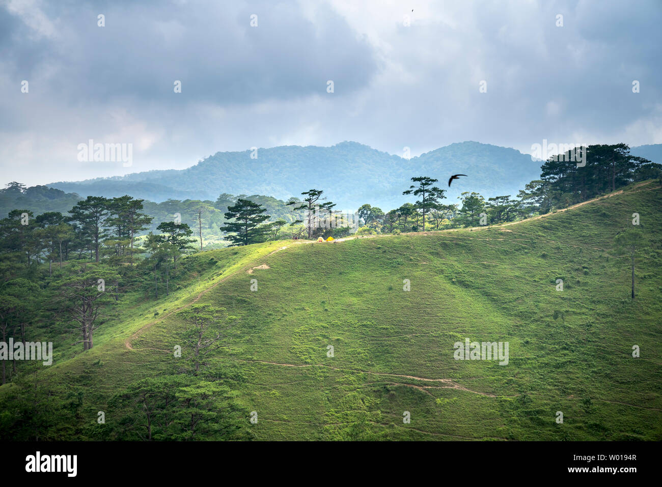 Tents located in countryside hi-res stock photography and images - Alamy