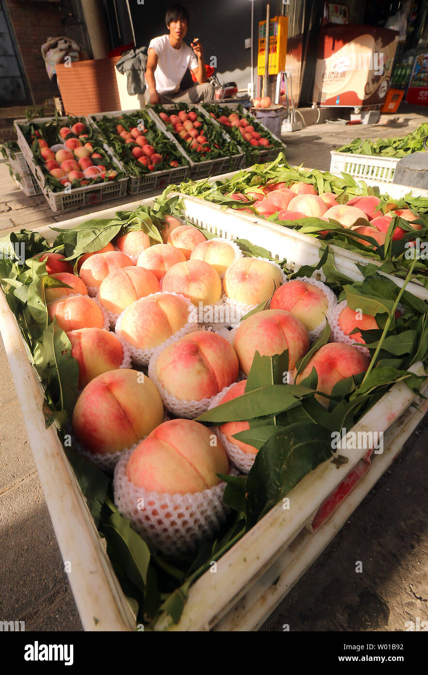 Agricultural organization hi-res stock photography and images - Alamy