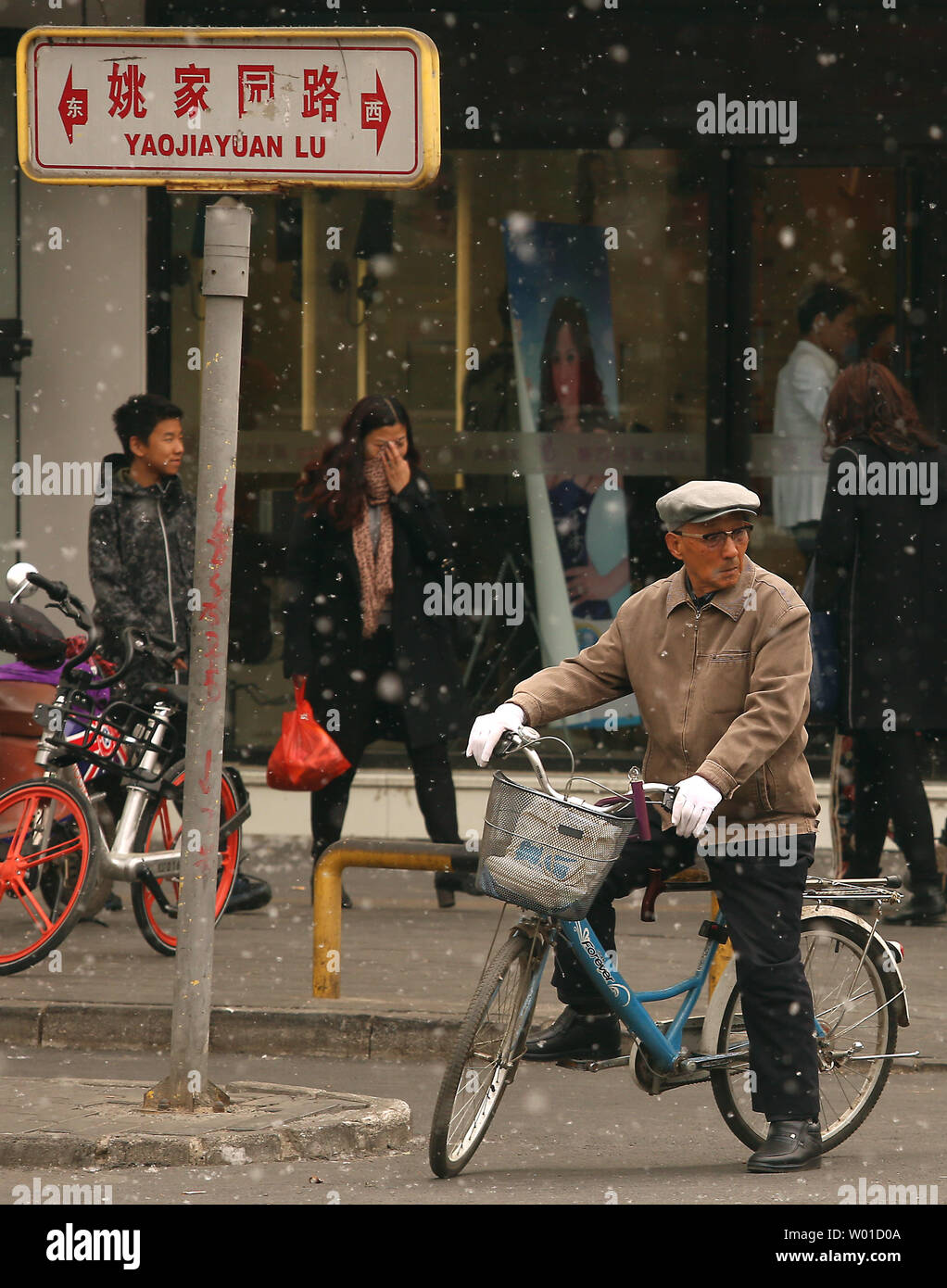 A heavy blanket of puffy catkins seeds, also known as the "spring snow ...