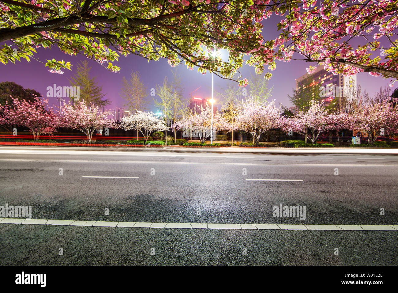 Cherry blossom illustration road hi-res stock photography and images ...