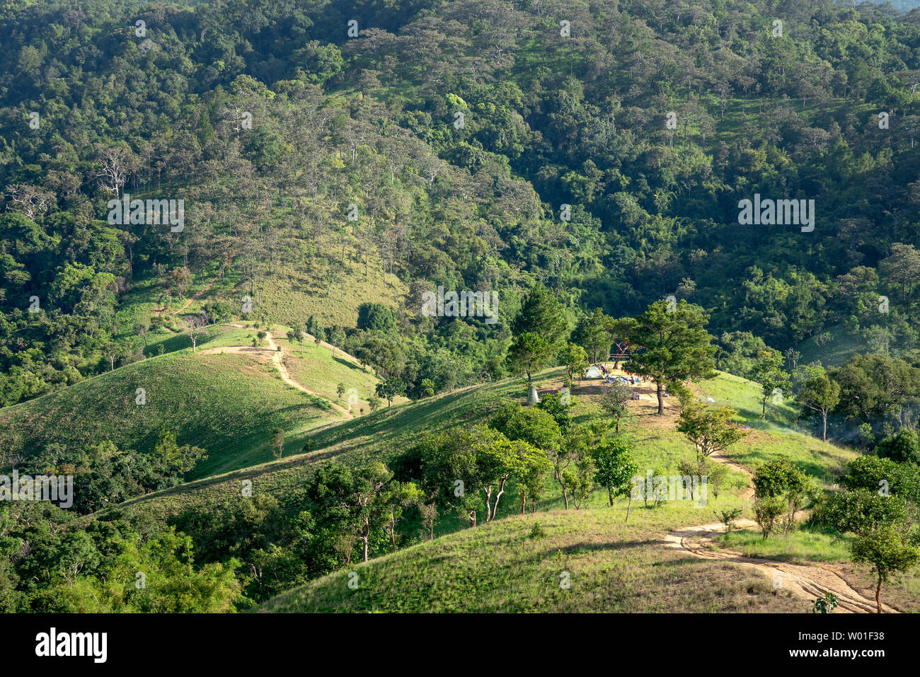 the road with tyre tracks. This is Ta Nang-Phan Dung trekking route ...