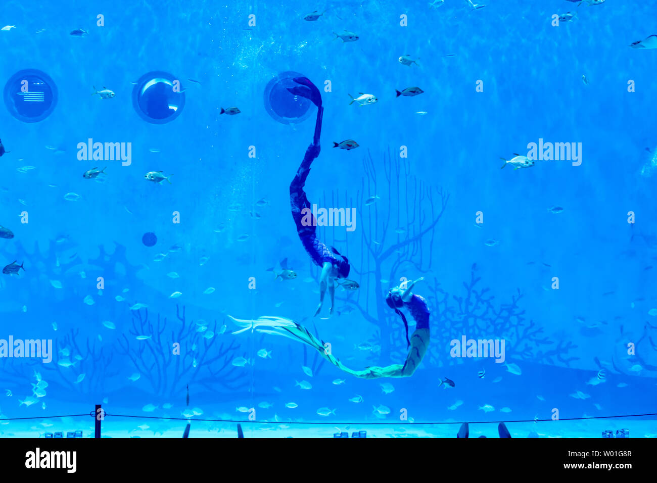 Mermaid performance at Haichang Ocean Park, Shanghai Stock Photo - Alamy