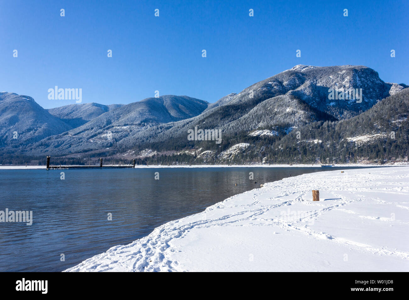 British columbia snow field trees hi-res stock photography and images ...