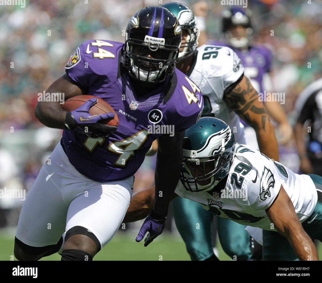 Leach field hi-res stock photography and images - Alamy