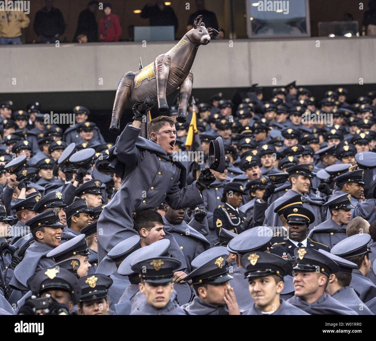 Donkey team hi-res stock photography and images - Alamy