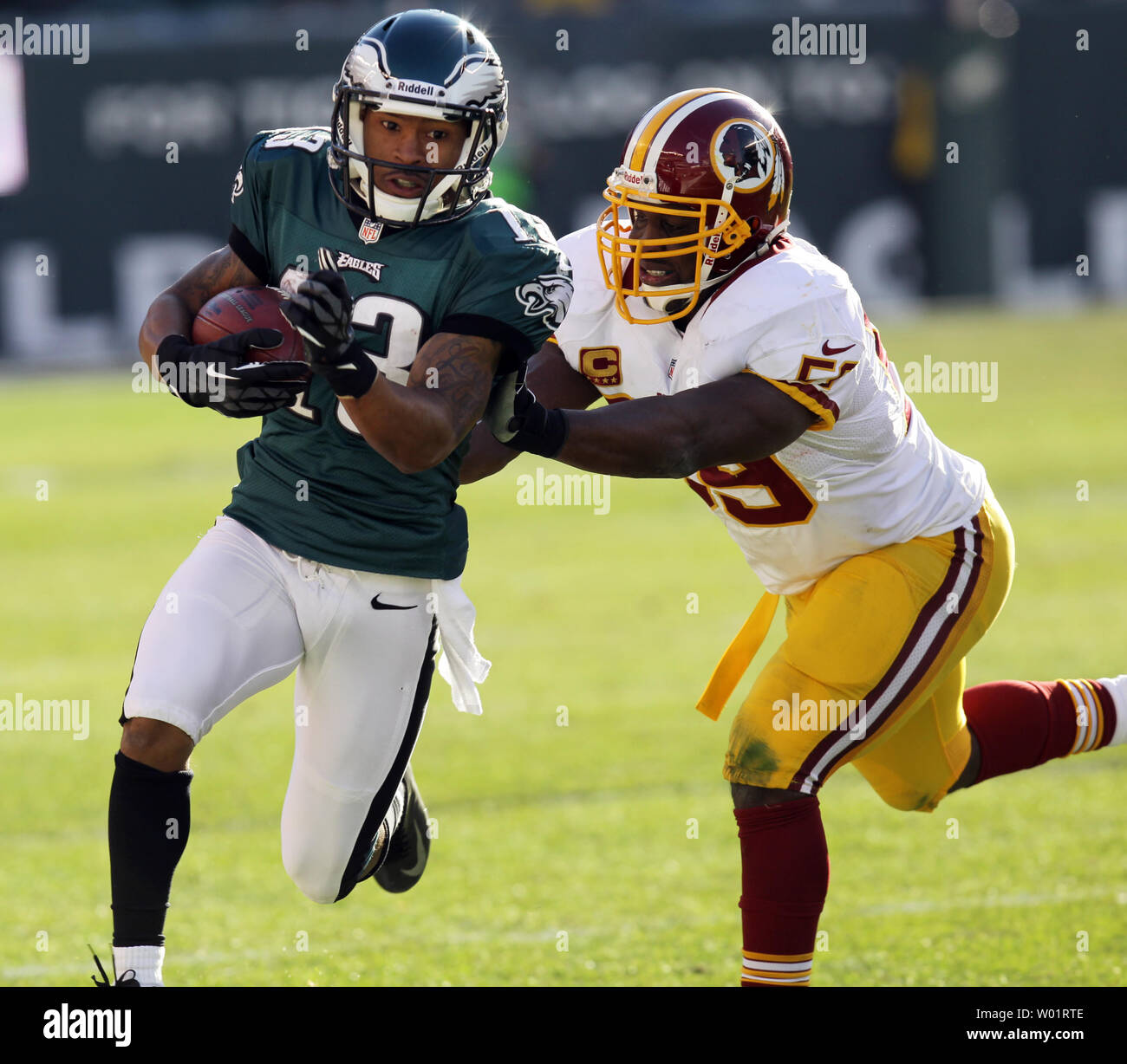 Damaris johnson eagles hi-res stock photography and images - Alamy