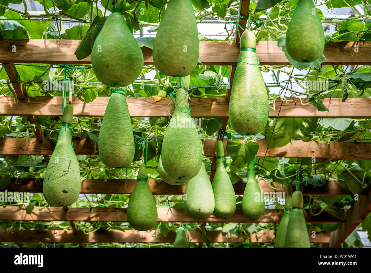 Sukuiguang cuisine hi-res stock photography and images - Alamy