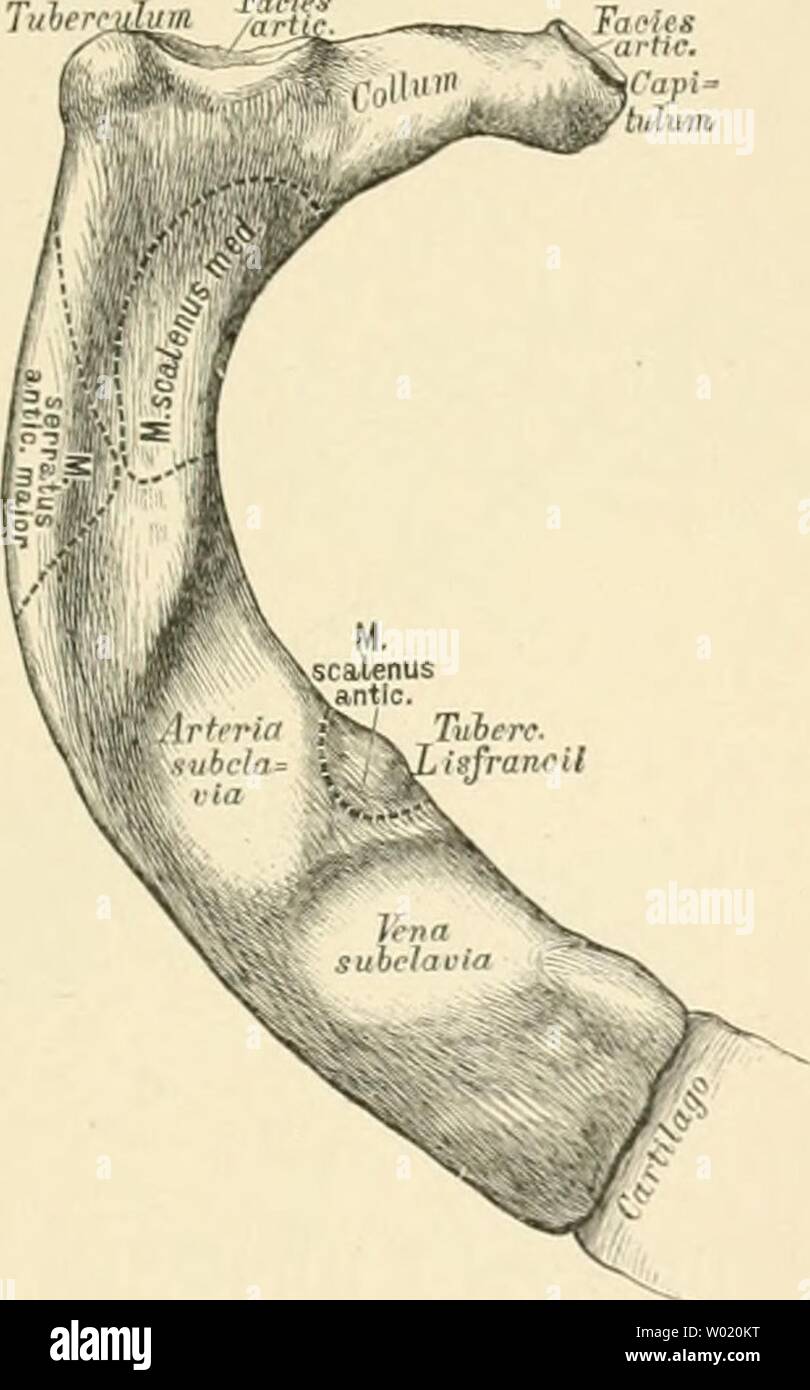 Archive image from page 112 of Die descriptive und topographische ...