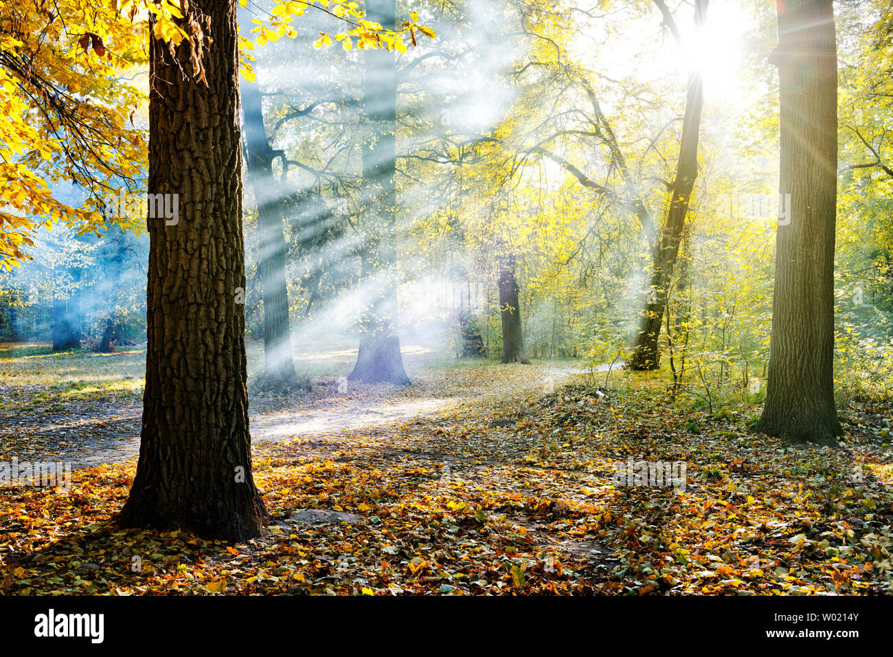 Evening sun rays hi-res stock photography and images - Alamy
