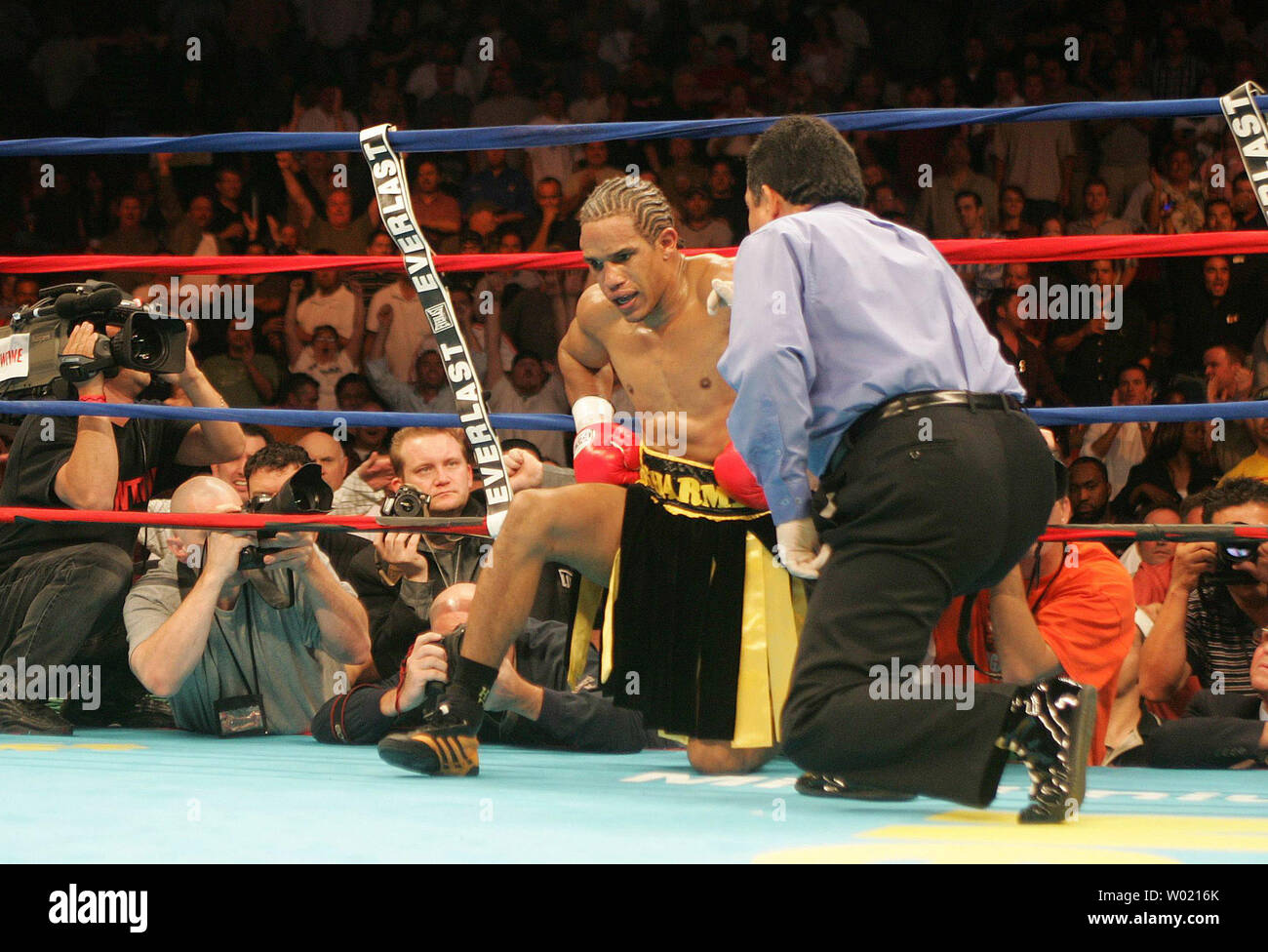 Kostya tszyu hi-res stock photography and images - Alamy