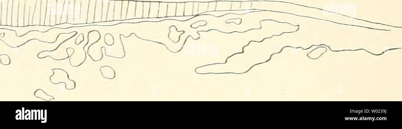 Kommunikationskanal hi-res stock photography and images - Alamy