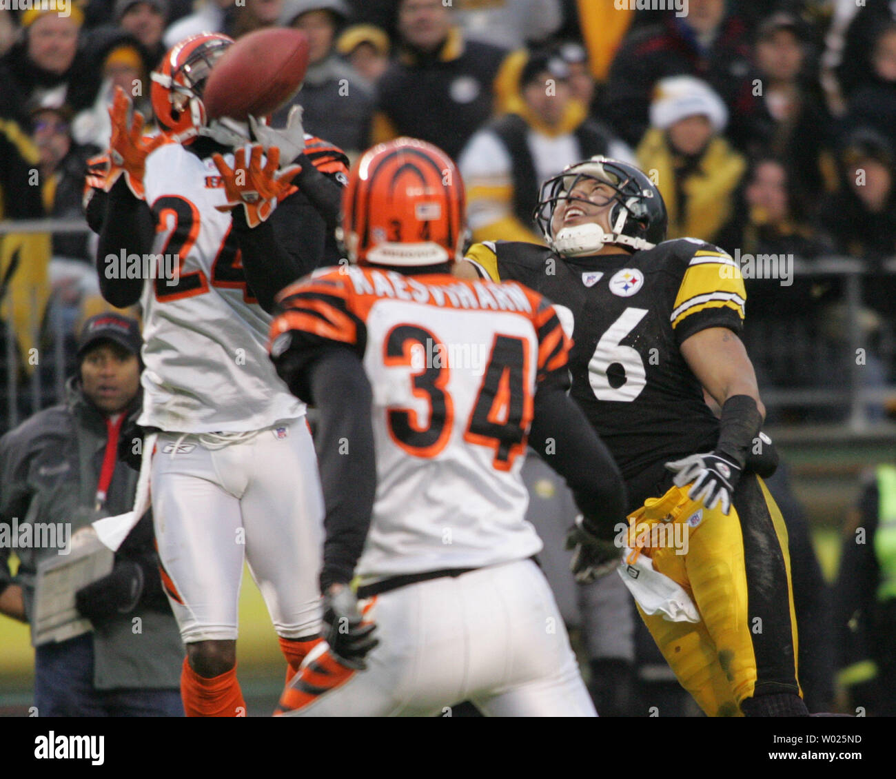 Pittsburgh Steelers Quincy Morgan celebrates in the end zone after ...