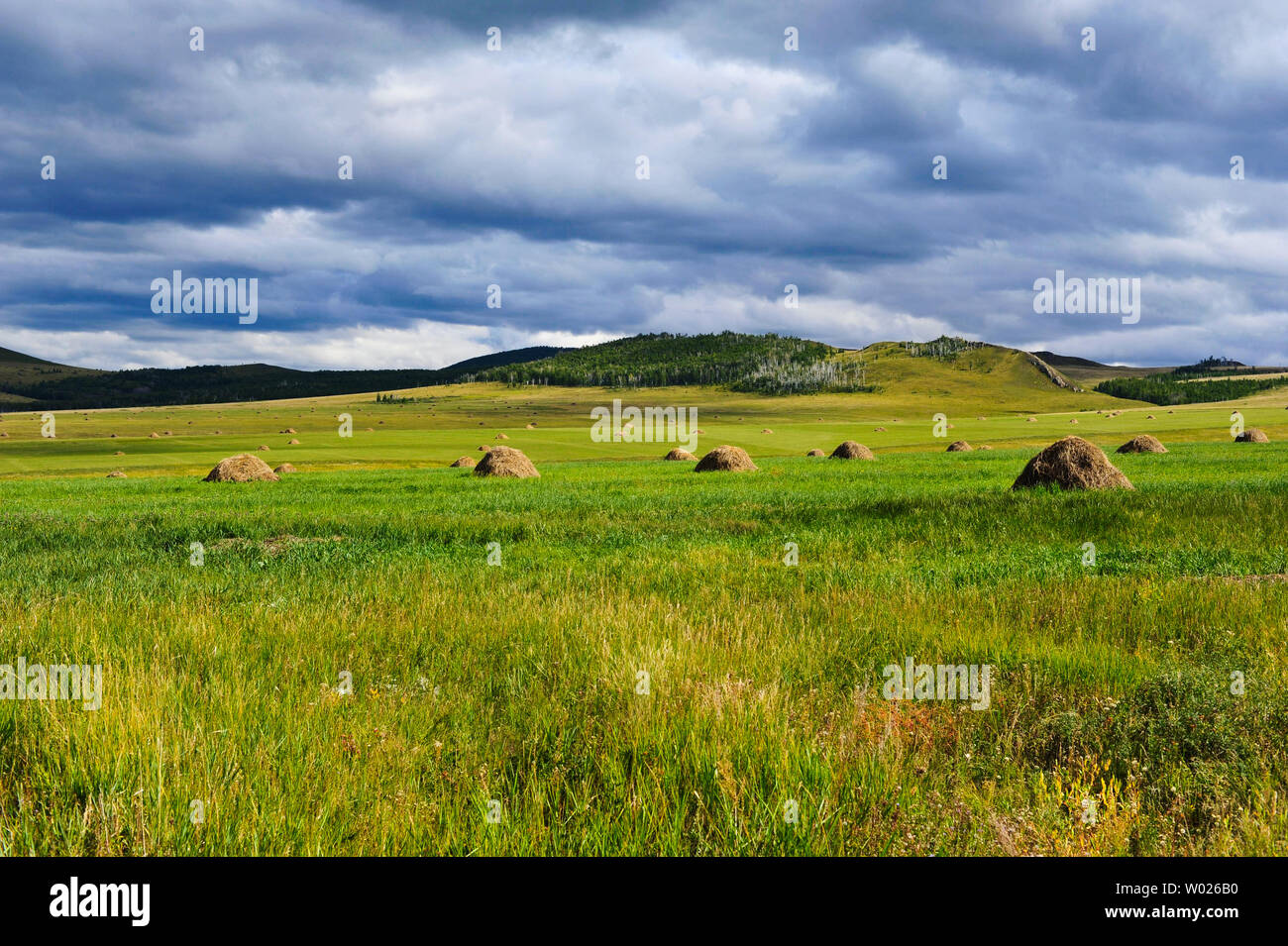 Inner Mongolia Prairie Stock Photo - Alamy