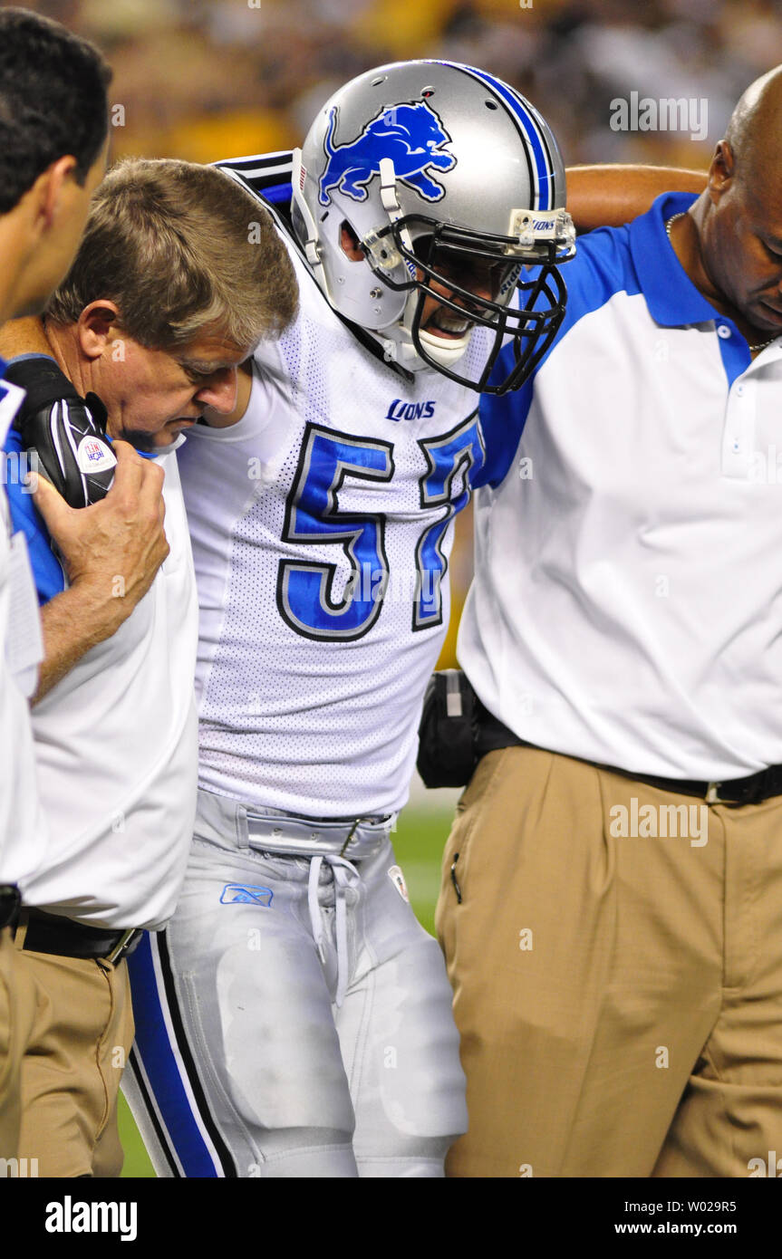 Steelers lions 2010 hi-res stock photography and images - Alamy