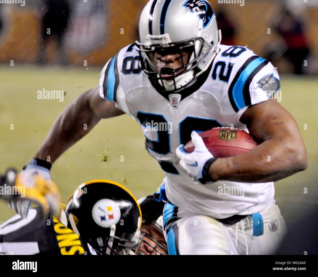 Pittsburgh panther hi-res stock photography and images - Alamy