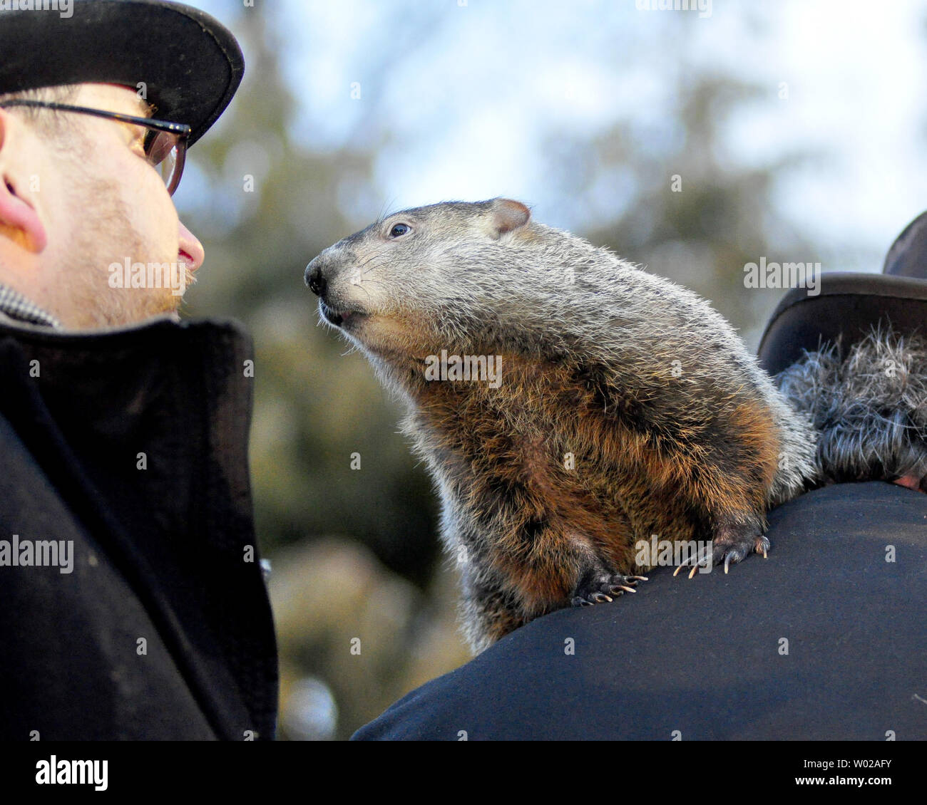 Gobbler's knob hi-res stock photography and images - Alamy