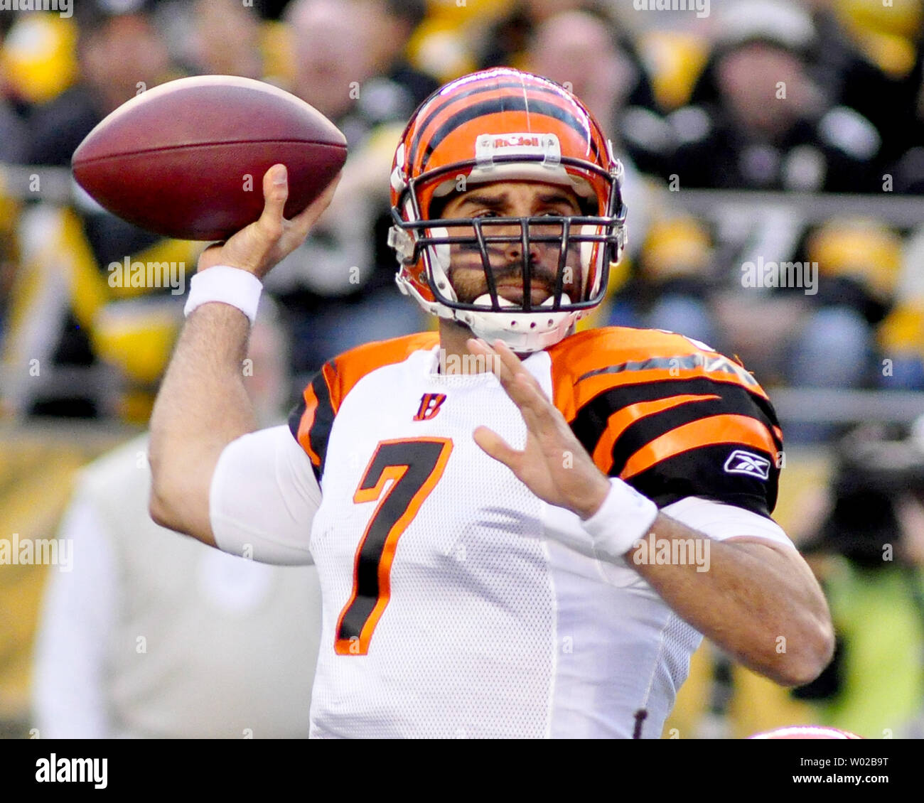 Bruce Gradkowski Bengals