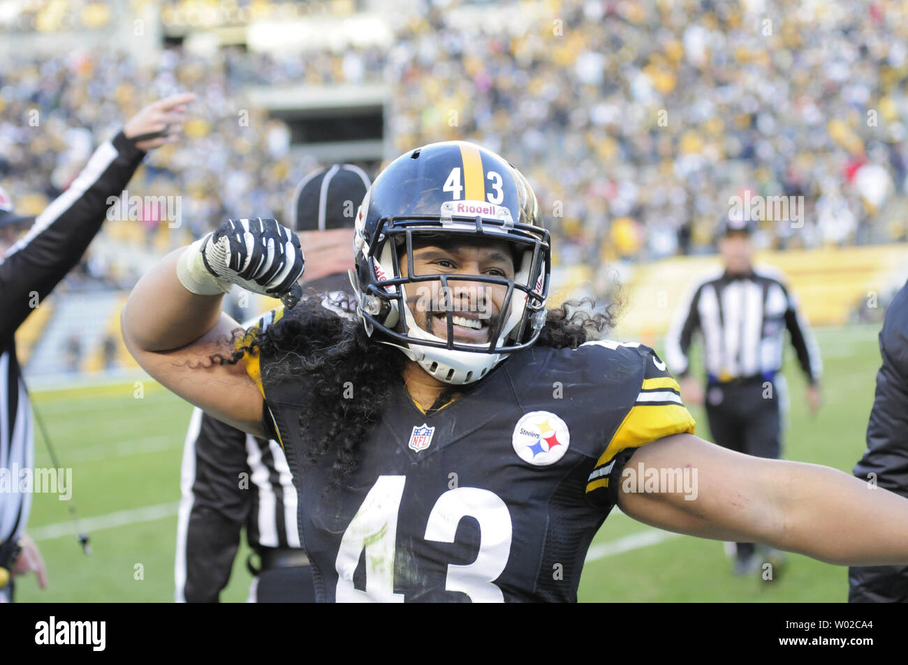 Troy Polamalu Interception