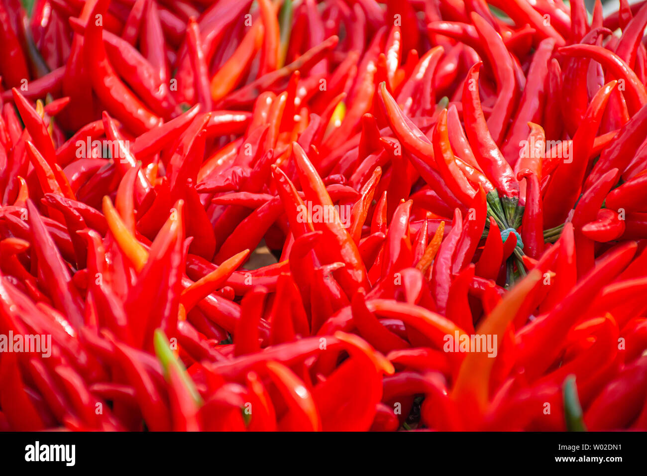 Lots of chillies hi-res stock photography and images - Alamy