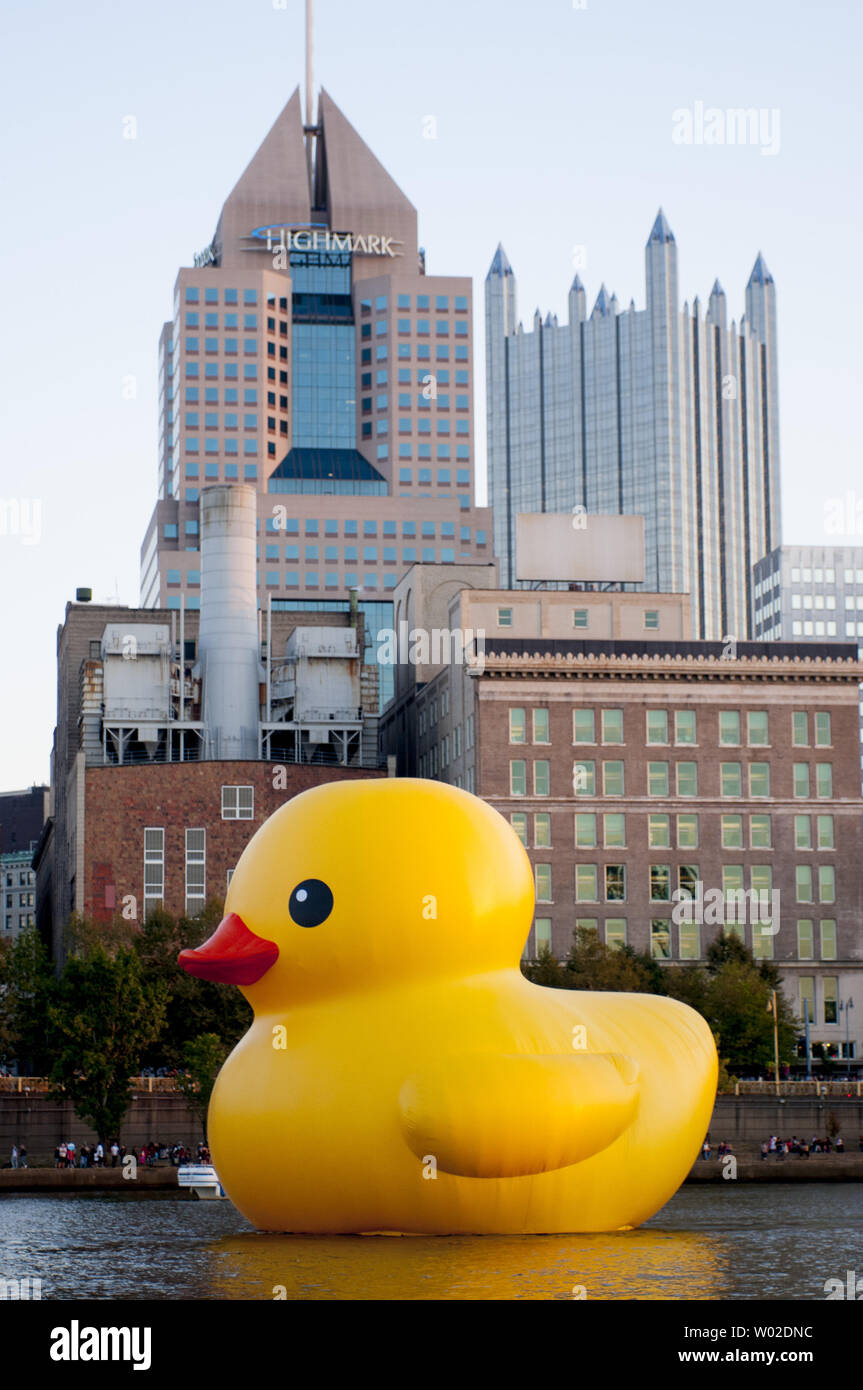 The first U.S. version of the 40-foot-tall rubber ducky which is artist ...
