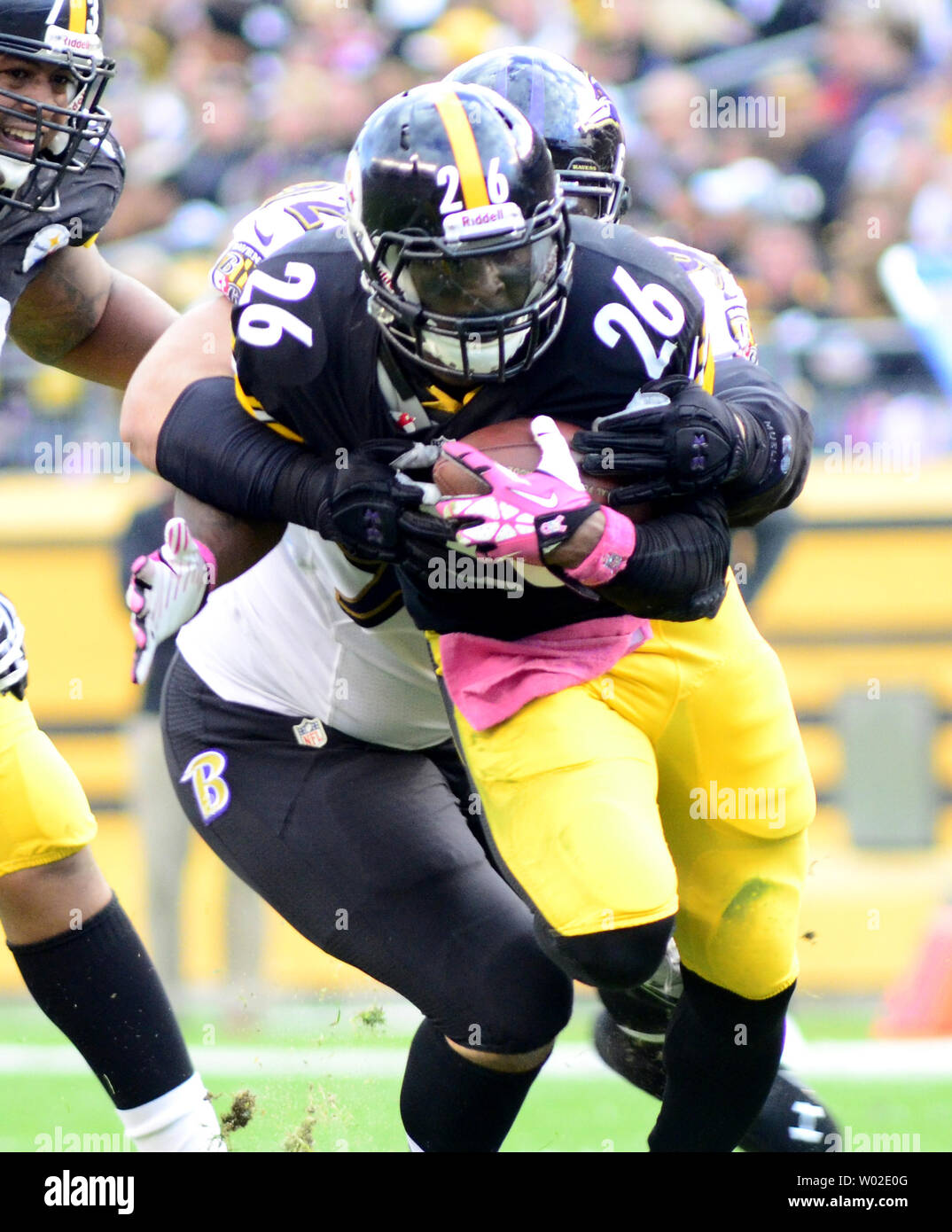 Haloti Ngata Wallpaper