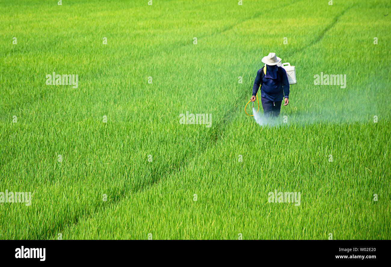 Spraying insecticide field crops hi-res stock photography and images ...