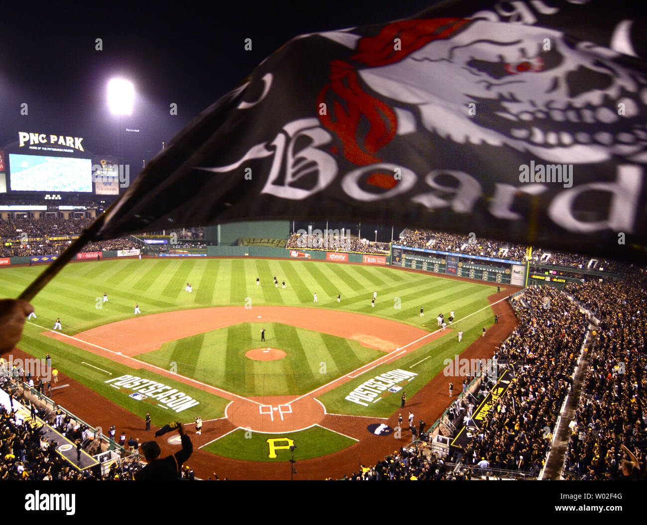 Blackout Pirates Wild Card