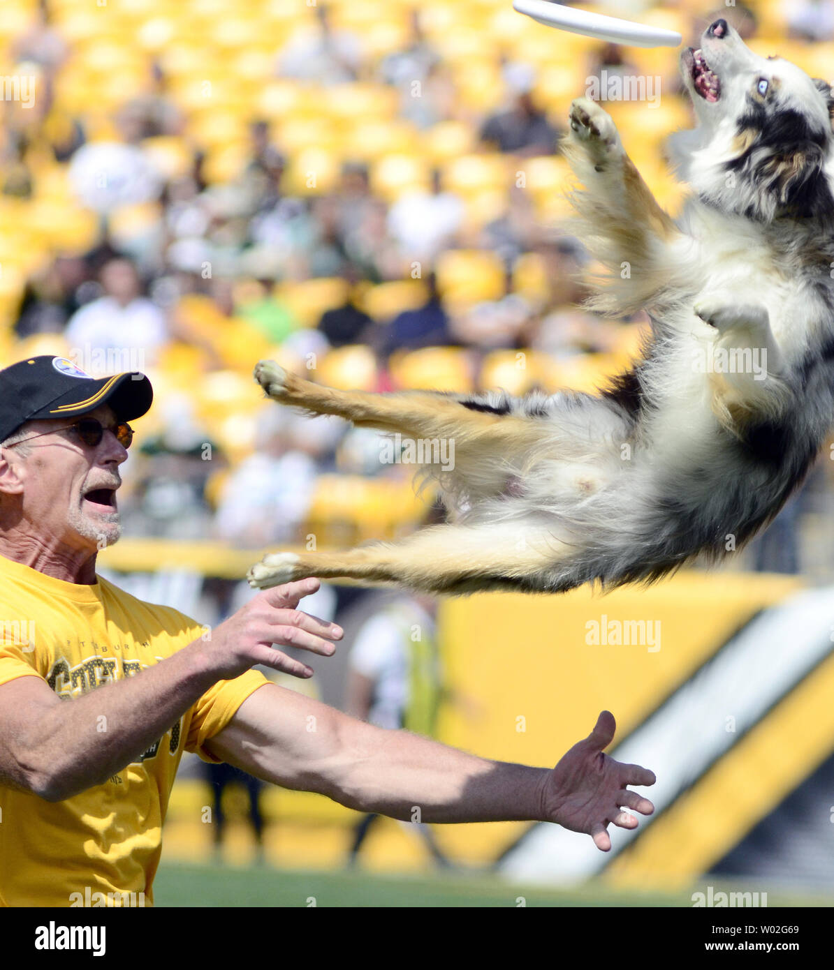Muttley hi-res stock photography and images - Alamy