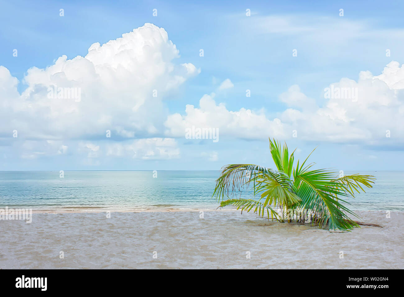 Coconut tree on the beach in summer Background sea and the bright sky ...