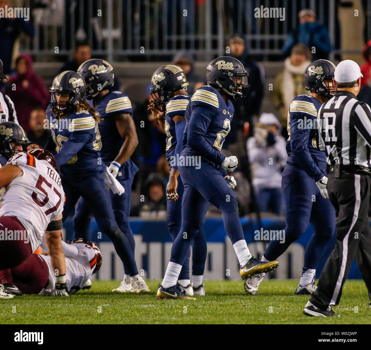 Terrish webb hi-res stock photography and images - Alamy