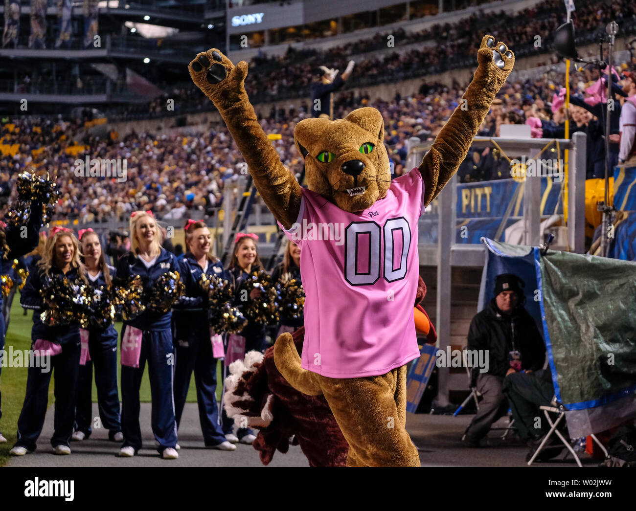 Pittsburgh Panthers mascot, Roc, dances at the end of the third quarter ...