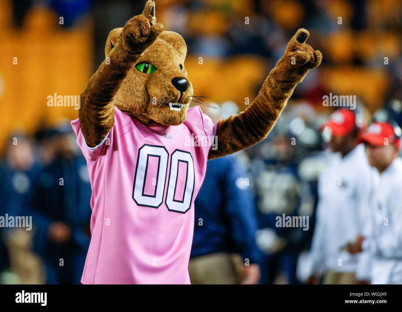 Panther Football Mascot