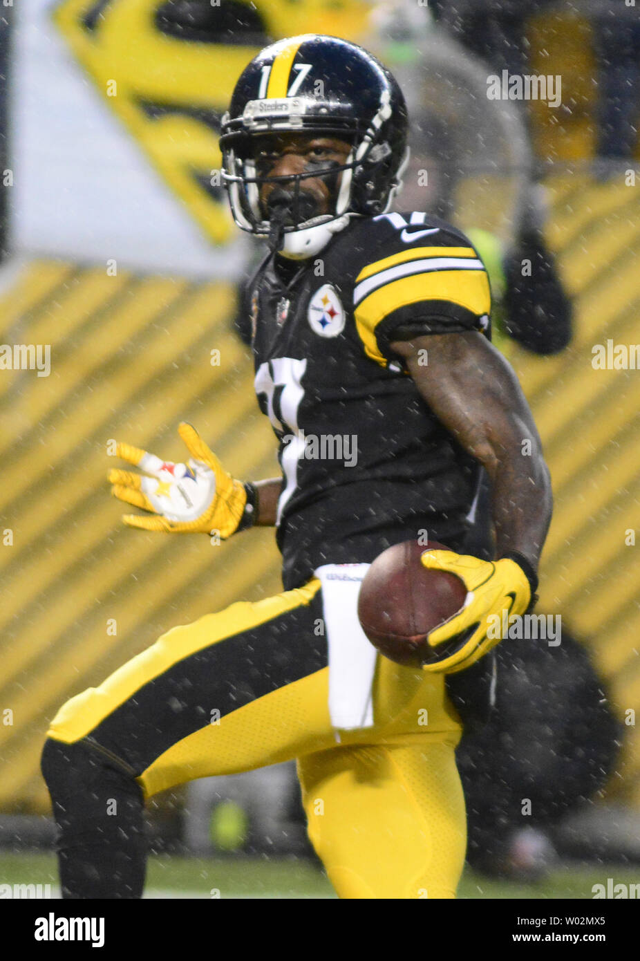 Pittsburgh Steelers wide receiver Eli Rogers (17) pulls in the ...