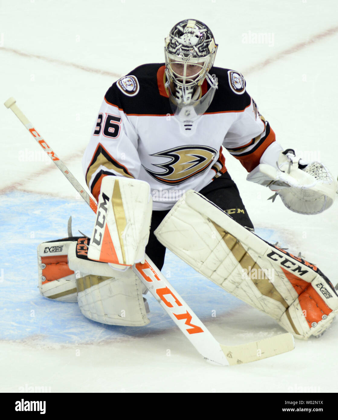 John gibson ducks hi-res stock photography and images - Alamy