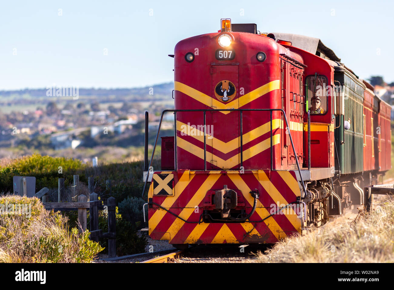 Chiton rocks hi-res stock photography and images - Alamy
