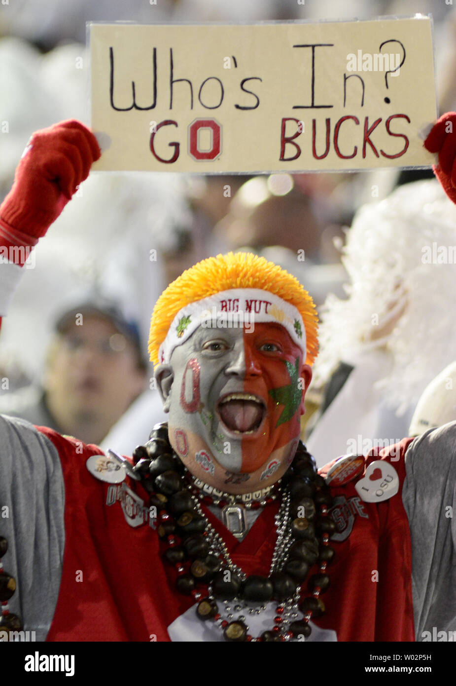 Ohio State Buckeyes fan shows his spirit before the start of the 27-26 ...