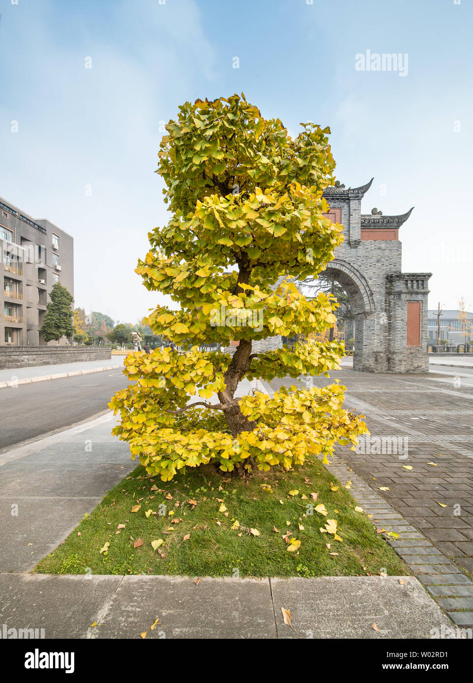 Autumn View of Sichuan University Campus Stock Photo - Alamy