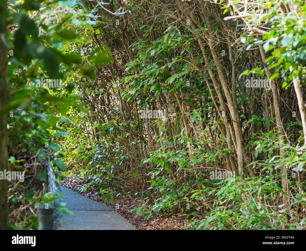 Cut Through Path High Resolution Stock Photography and Images - Alamy