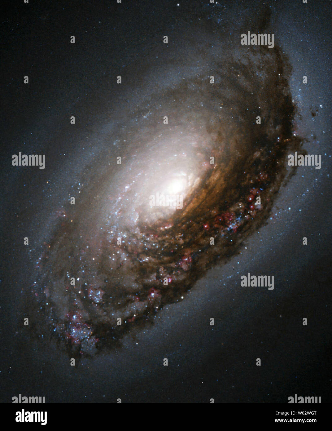 The Hubble Is Located Where