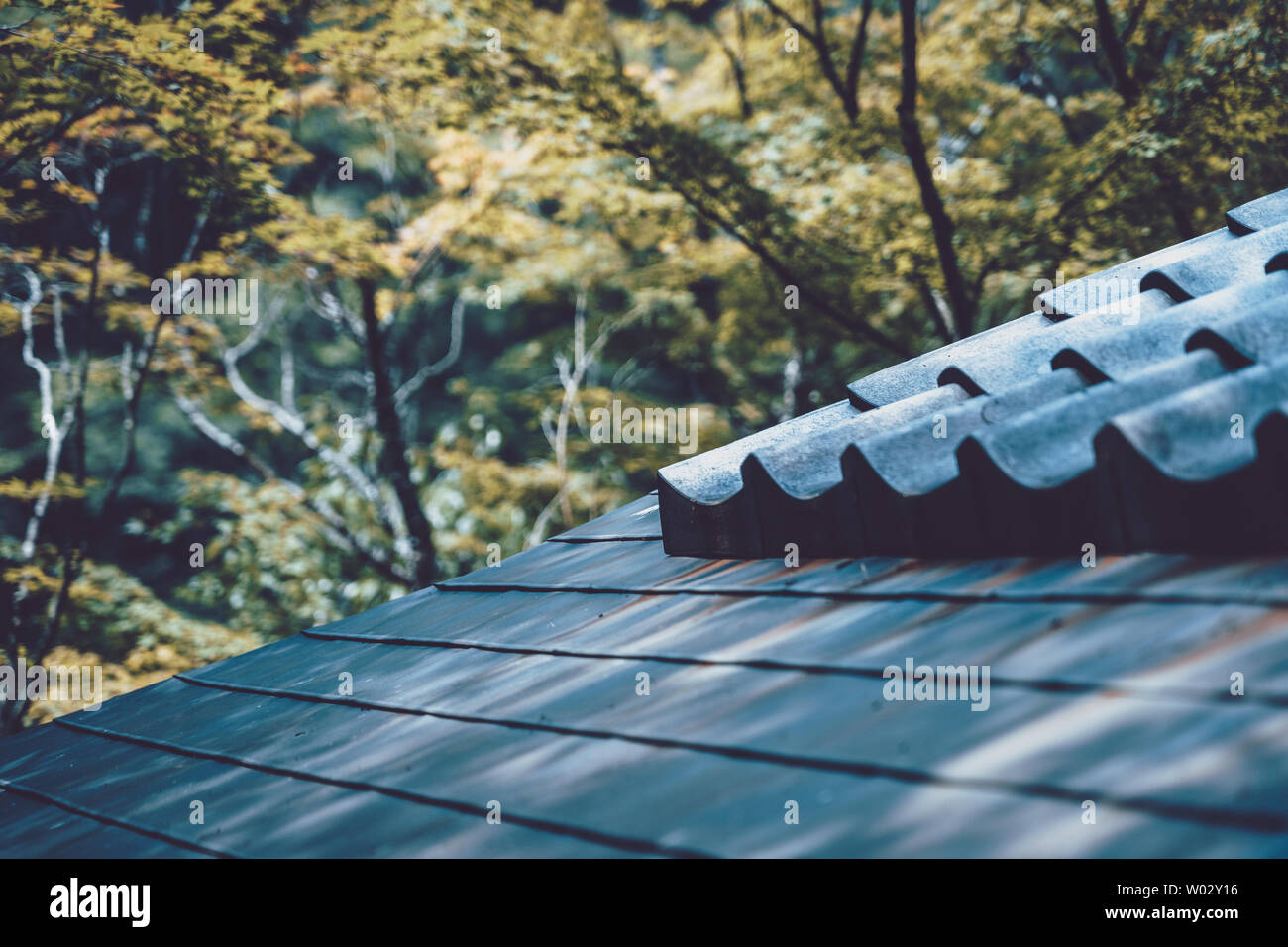 Nature in Japan; Nature background Stock Photo - Alamy